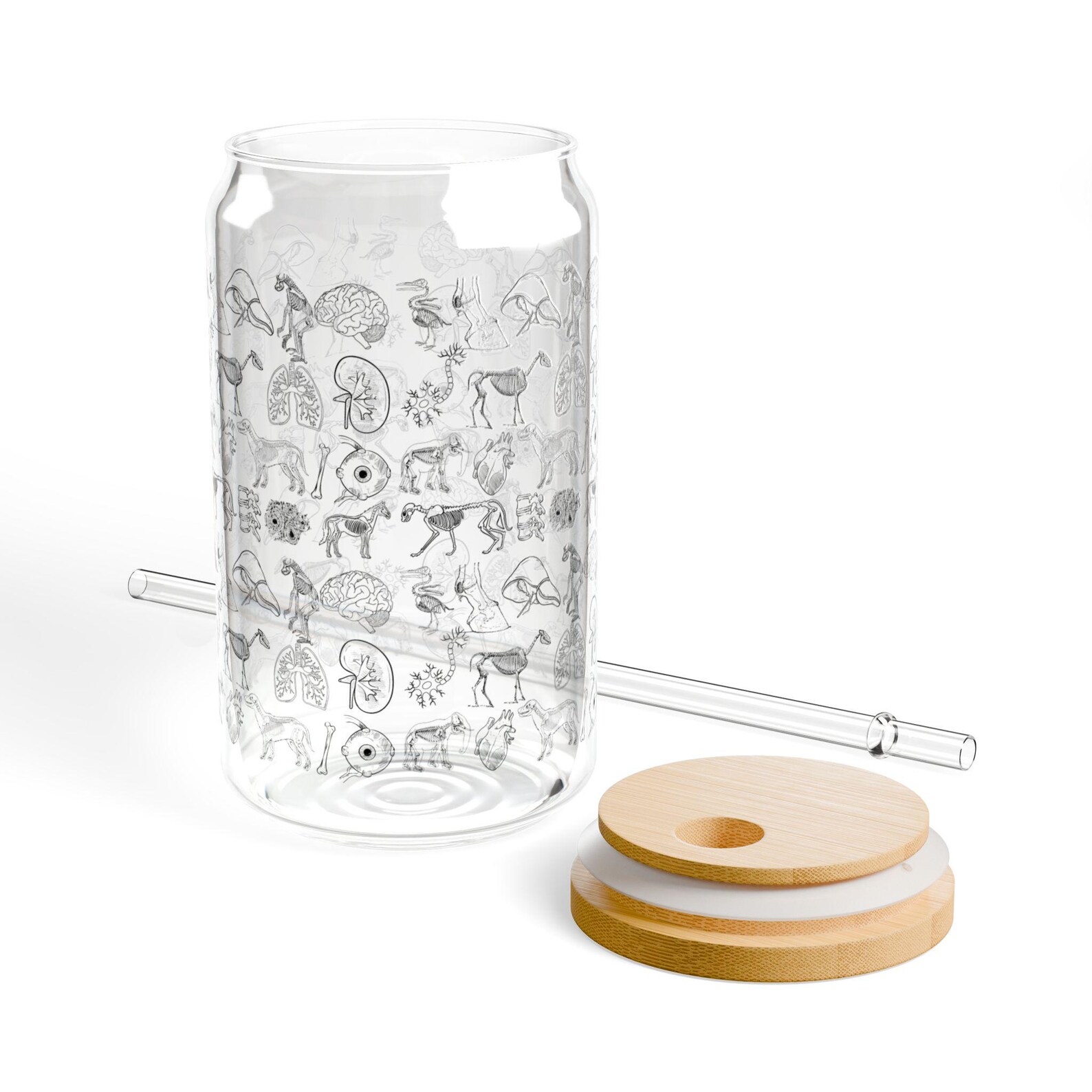 Veterinary Anatomy Sipper Glass, 16oz. Vet Tech, Veterinarian, Vet ...