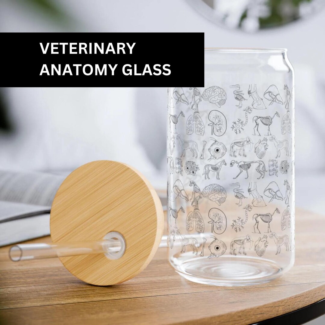 Veterinary Anatomy Sipper Glass, 16oz. Vet Tech, Veterinarian, Vet ...