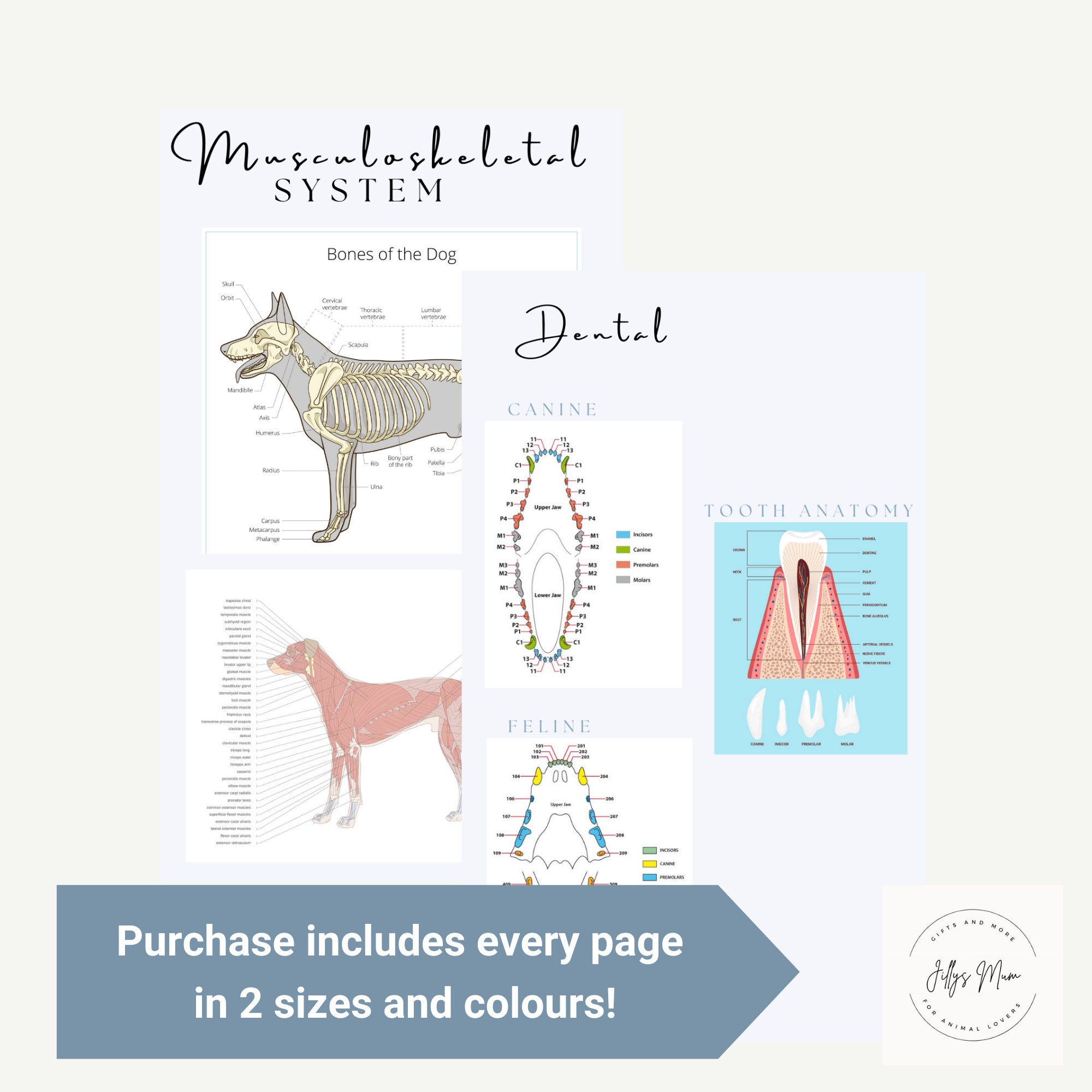 Vet Med Quick Reference Guides for Veterinary Nurses Techs - Etsy