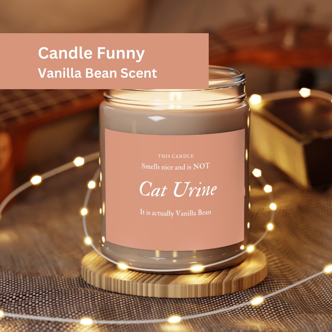 Candle Cat Funny, Veterinarian Gift. Cat Rescue. Cattery, Cat Boarding ...