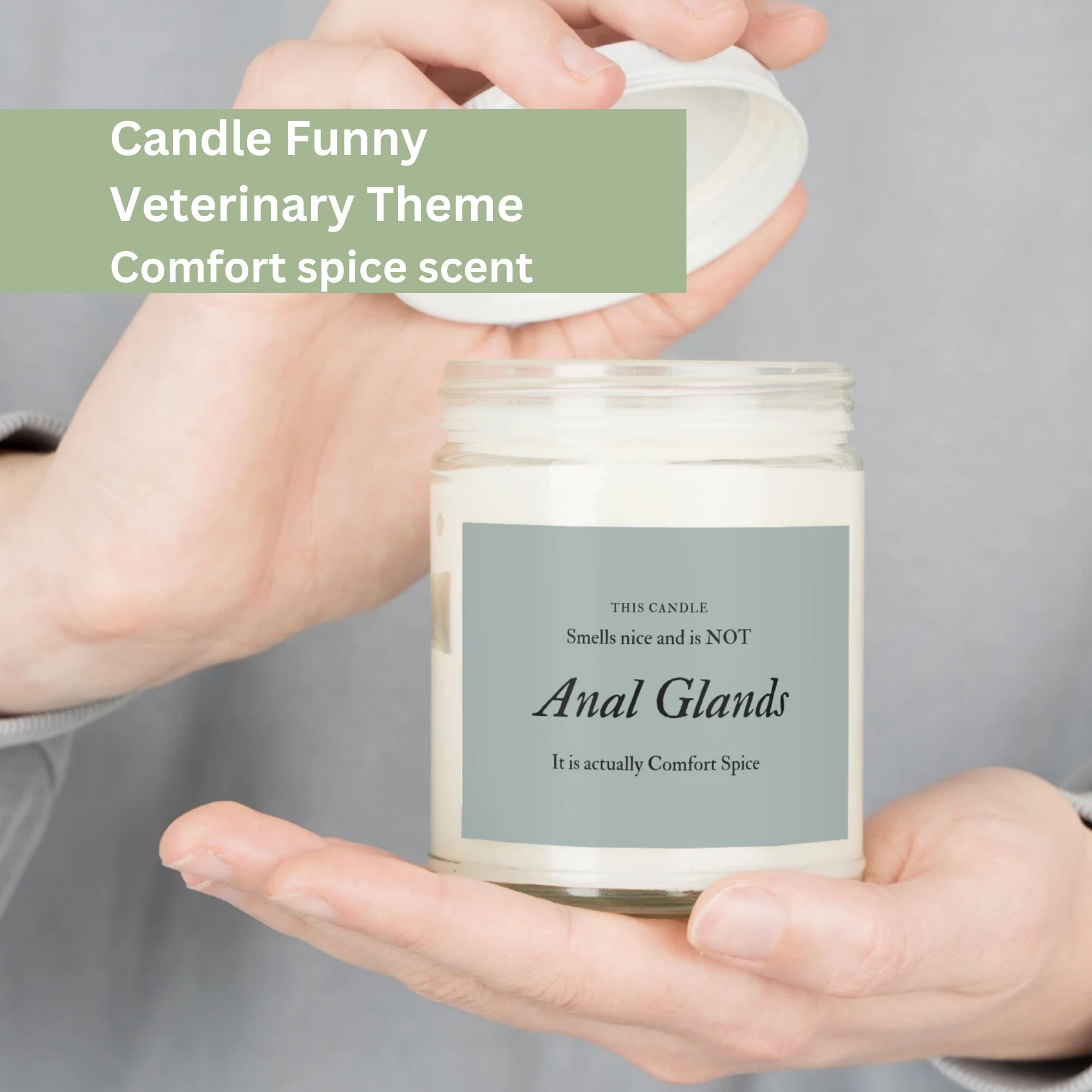 Candle Vet Tech Gift, Vet Nurse. Funny Veterinary Nurses, Vet, Dog ...