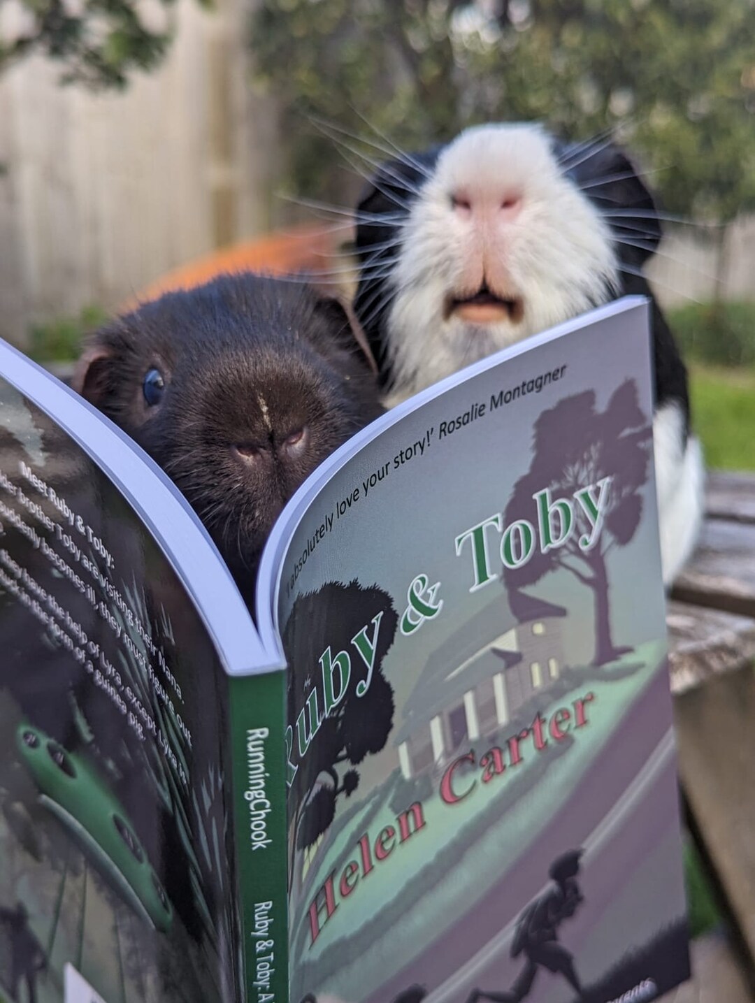 Ruby & Toby: A Tale of an Alien, a Sick Nana and Missing Parents - Etsy