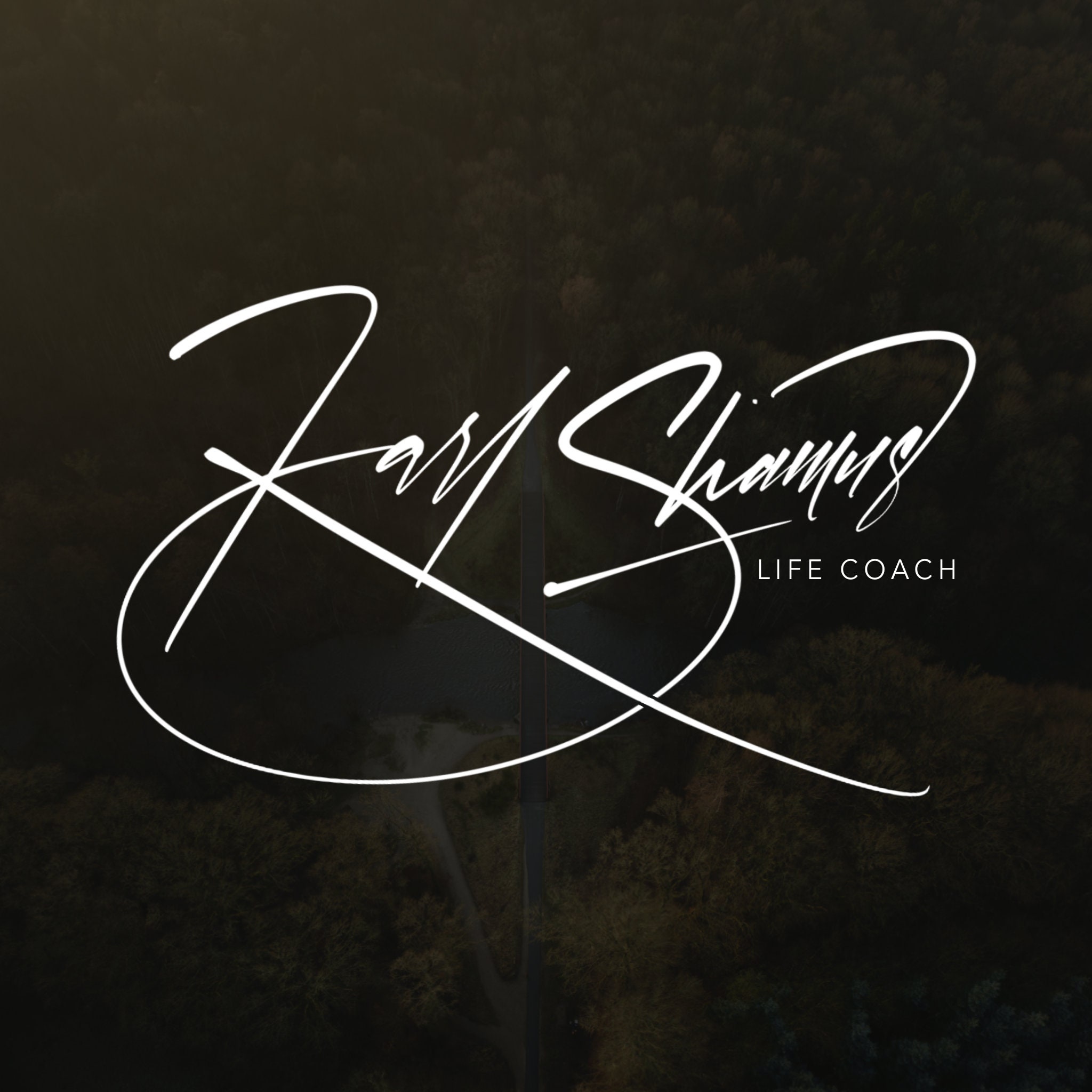 Handwritten Name Calligraphy Signature Logo - Etsy