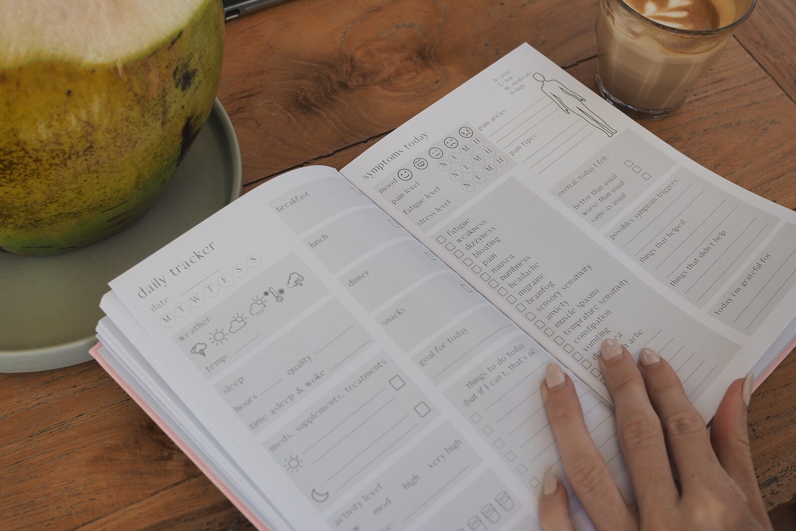 Pink Chronic Illness Health Symptom Tracking Journal (undated)/dietary ...