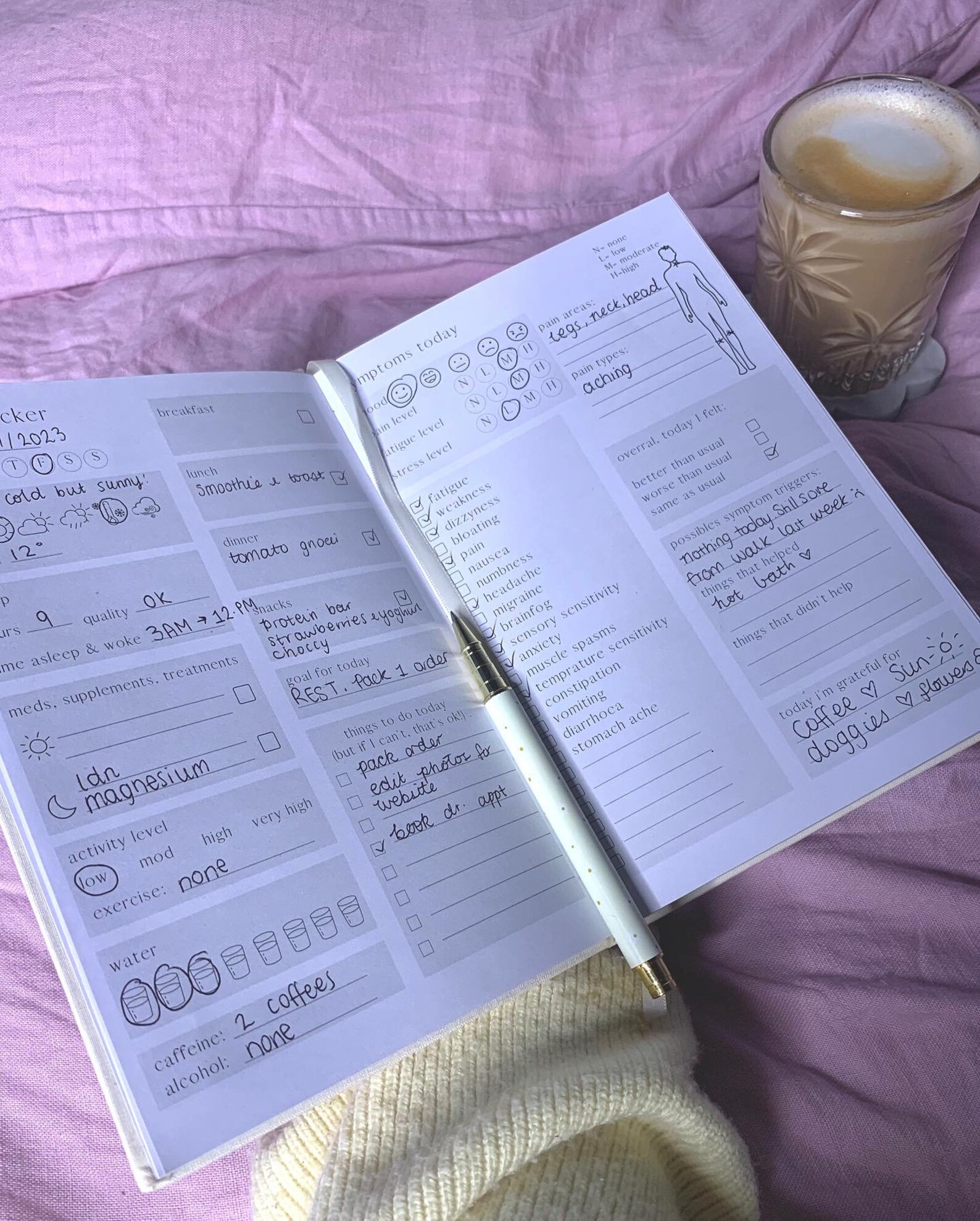 Pink Chronic Illness Health Symptom Tracking Journal (undated)/dietary ...