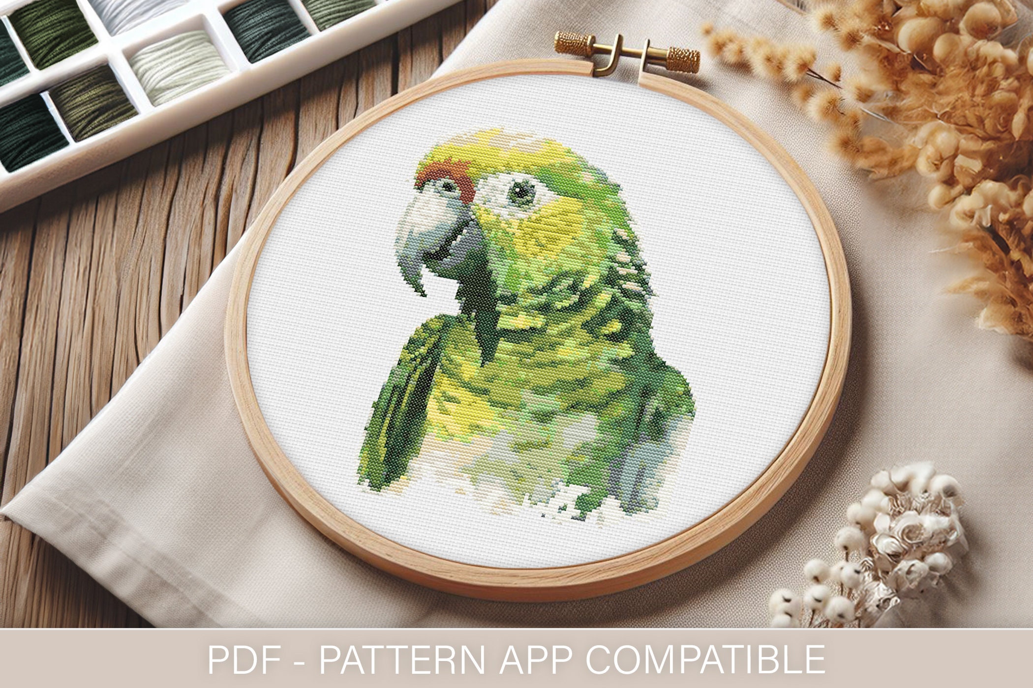 Parrot Cross Stitch Pattern: Pattern Keeper Friendly (PDF) - Etsy