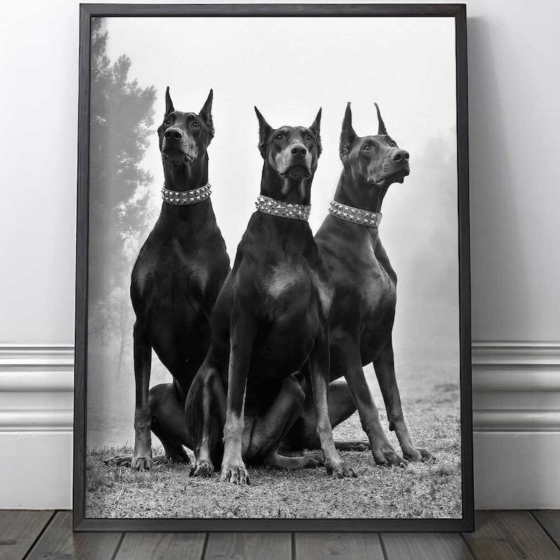 Doberman Art - Etsy