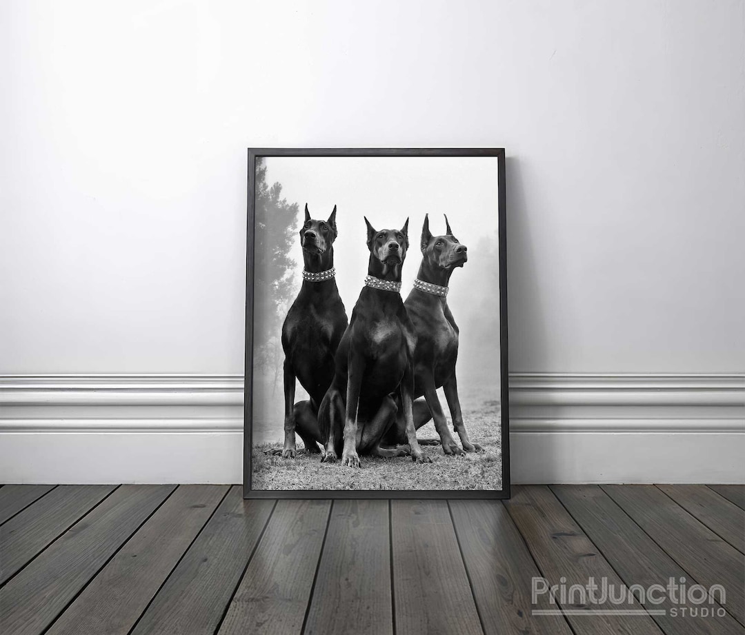 Doberman Pinscher Print - Doberman Art - Dog Wall Decor - High Quality ...