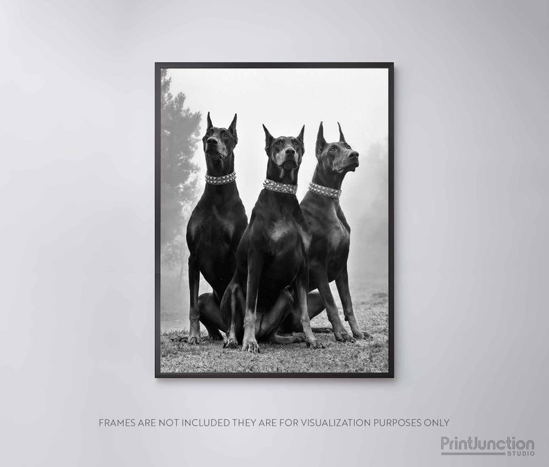 Doberman Pinscher Print Doberman Art Dog Wall Decor High Quality Print ...