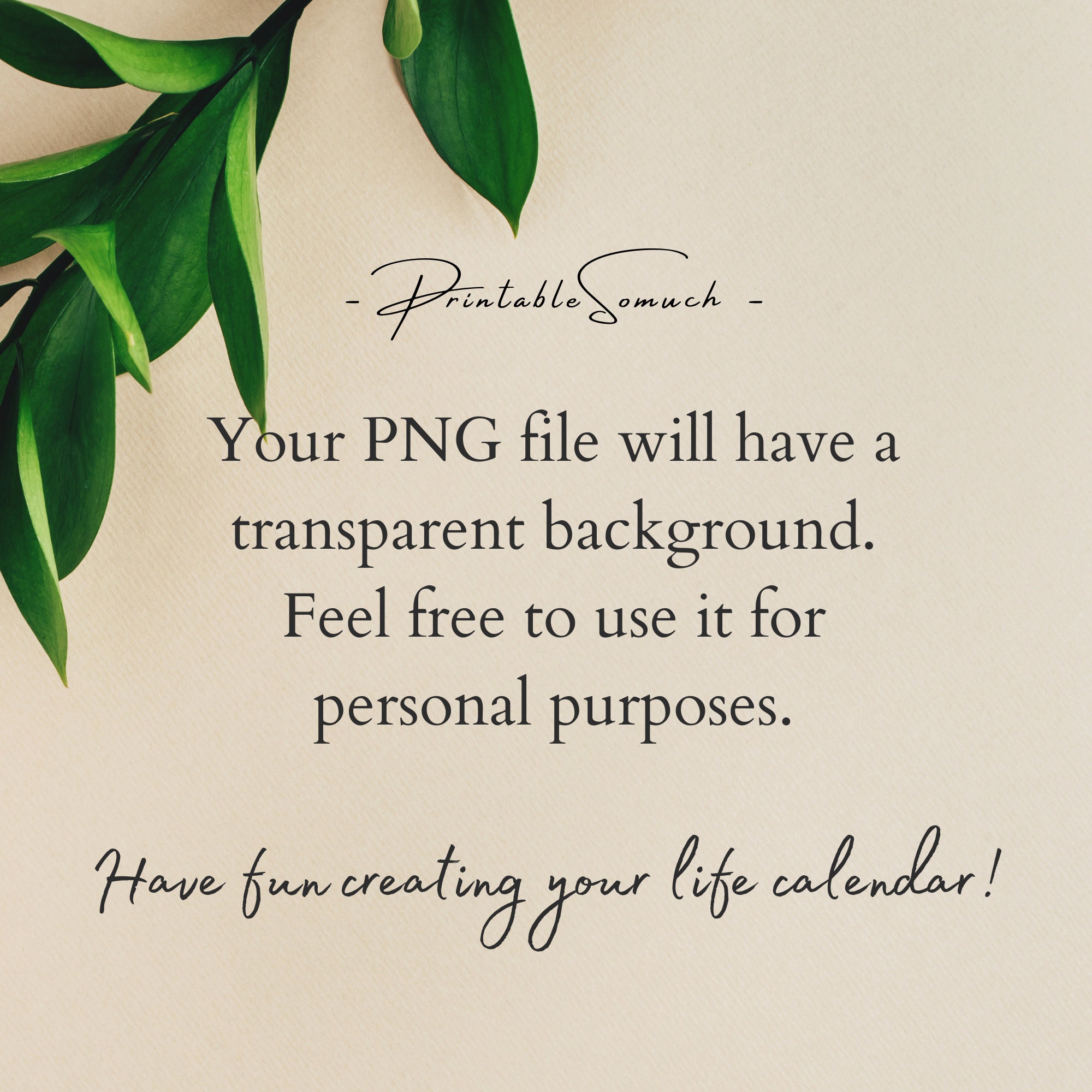 80 Years, Personalized Life Calendar, My Life in Months Poster, Custom ...