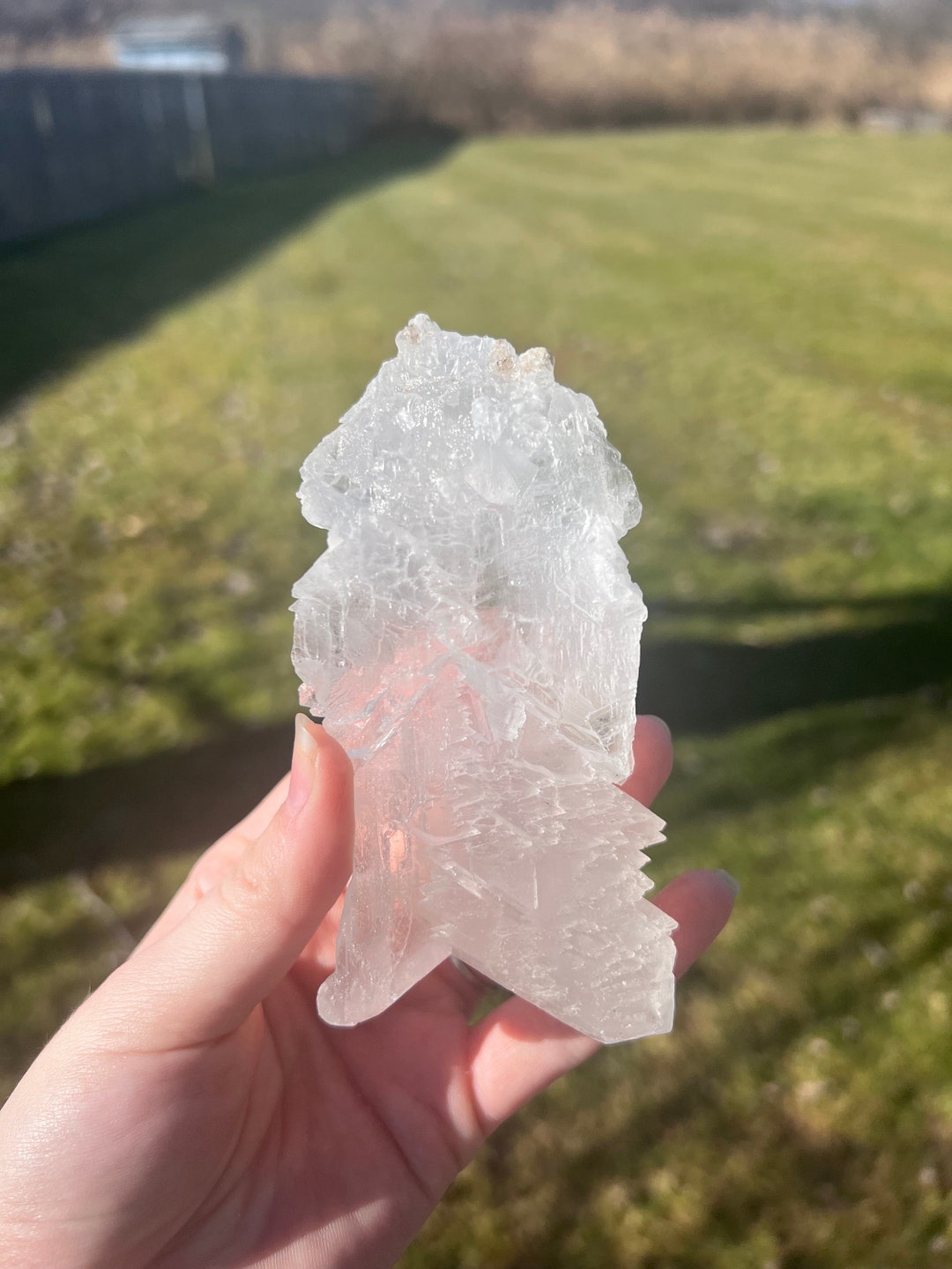 Fish Tail Selenite - Etsy
