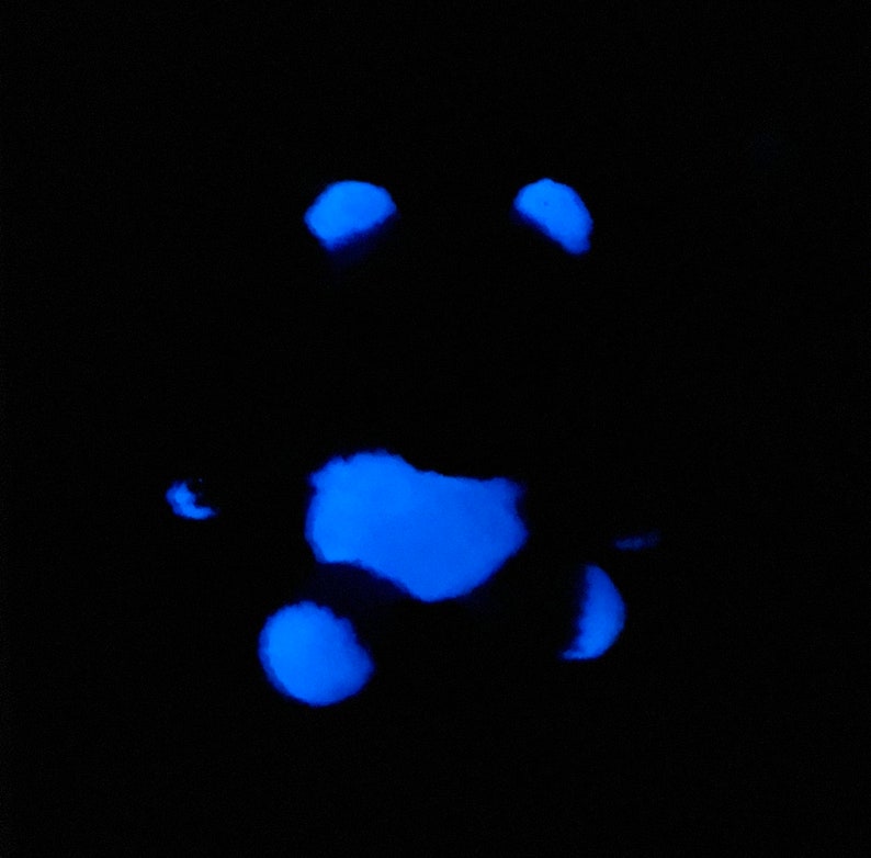 Loomigurumi Bluey glows in the Dark - Etsy
