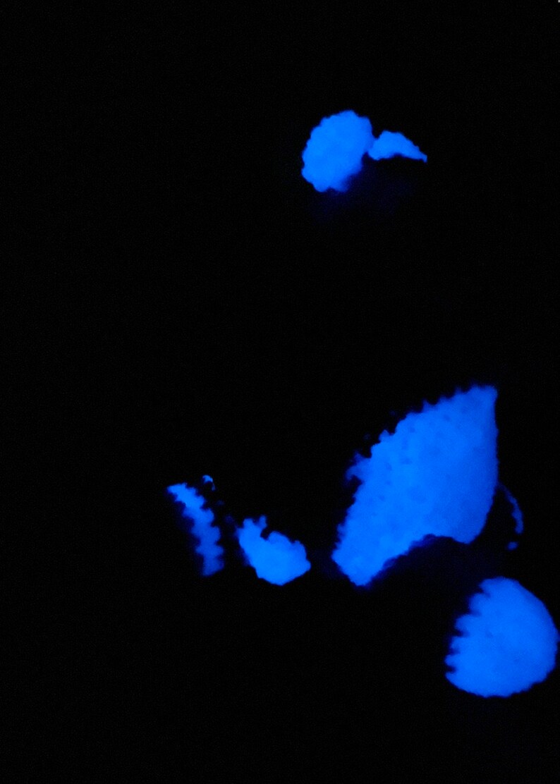 Loomigurumi Bluey (glows in the Dark) - Etsy