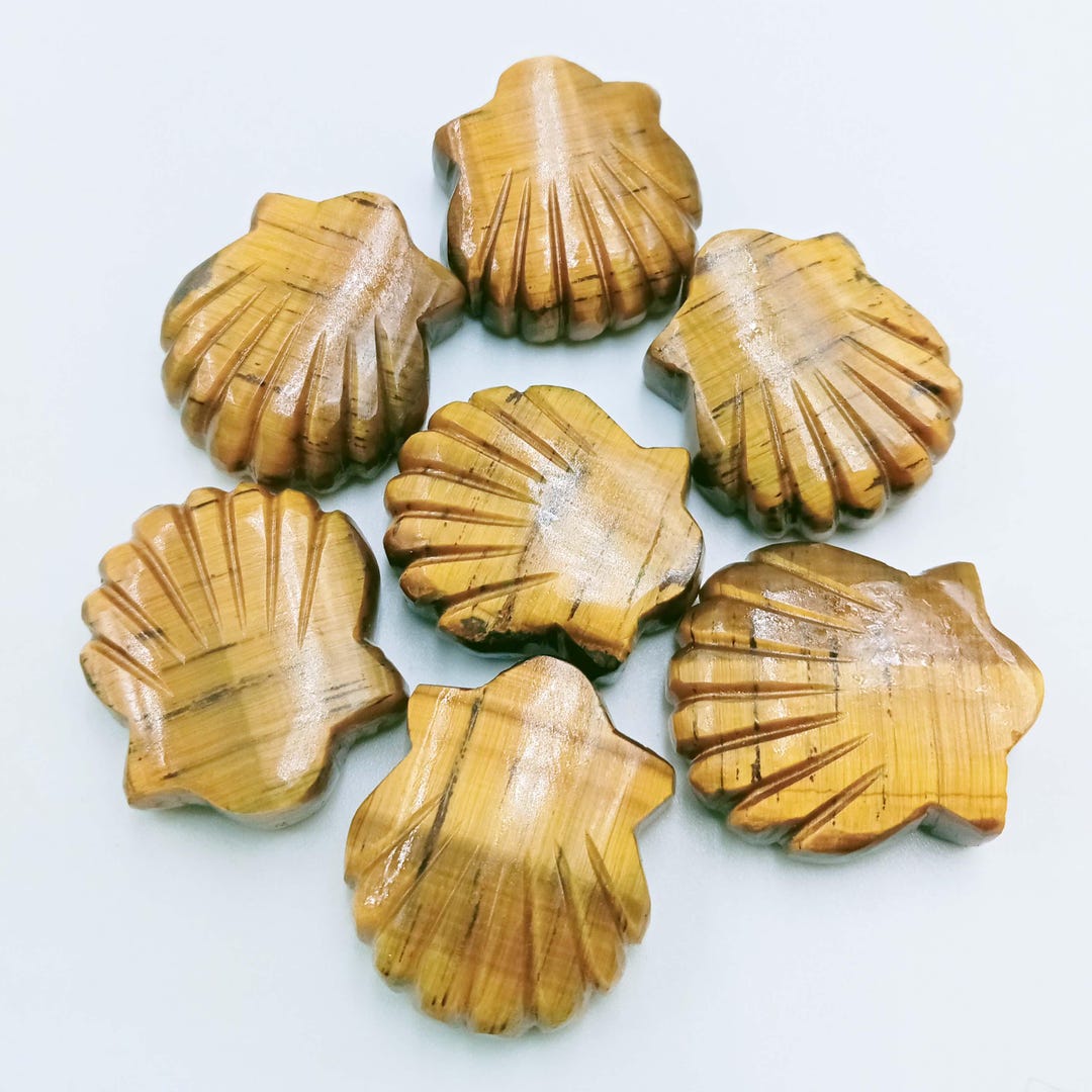 Natural Tiger Eye Carved Sea Shell Making Pendant, Healing Crystal ...