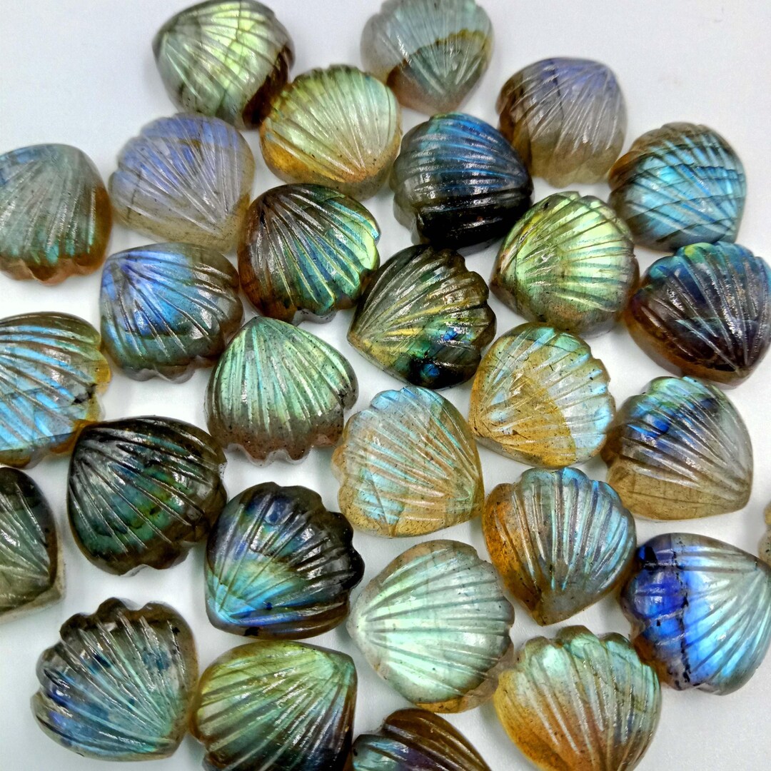One Side Flashy Labradorite Sea Shell Pendant Charms, Carved Shell ...