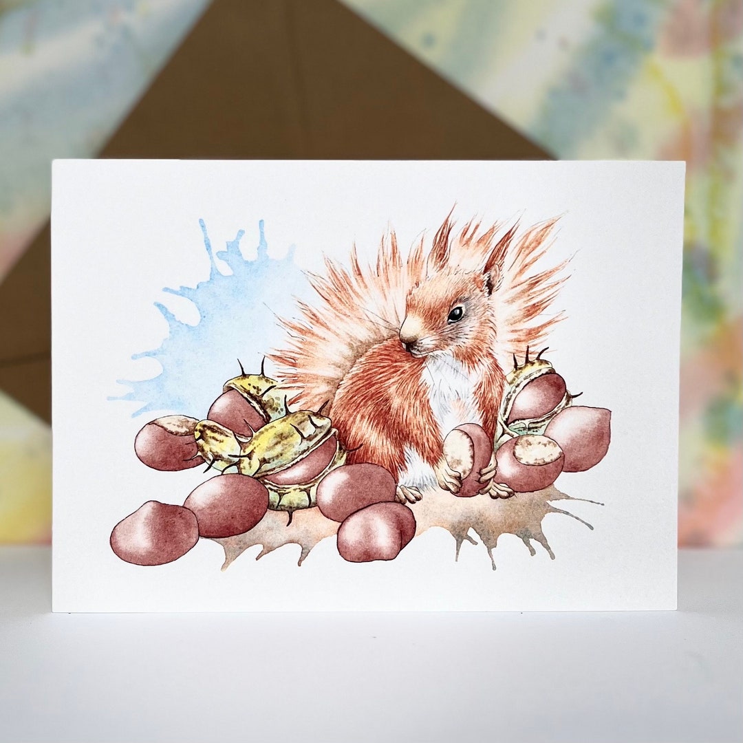 Wildlife Squirrel Greetings Card, for Animal Nature Birthday All ...