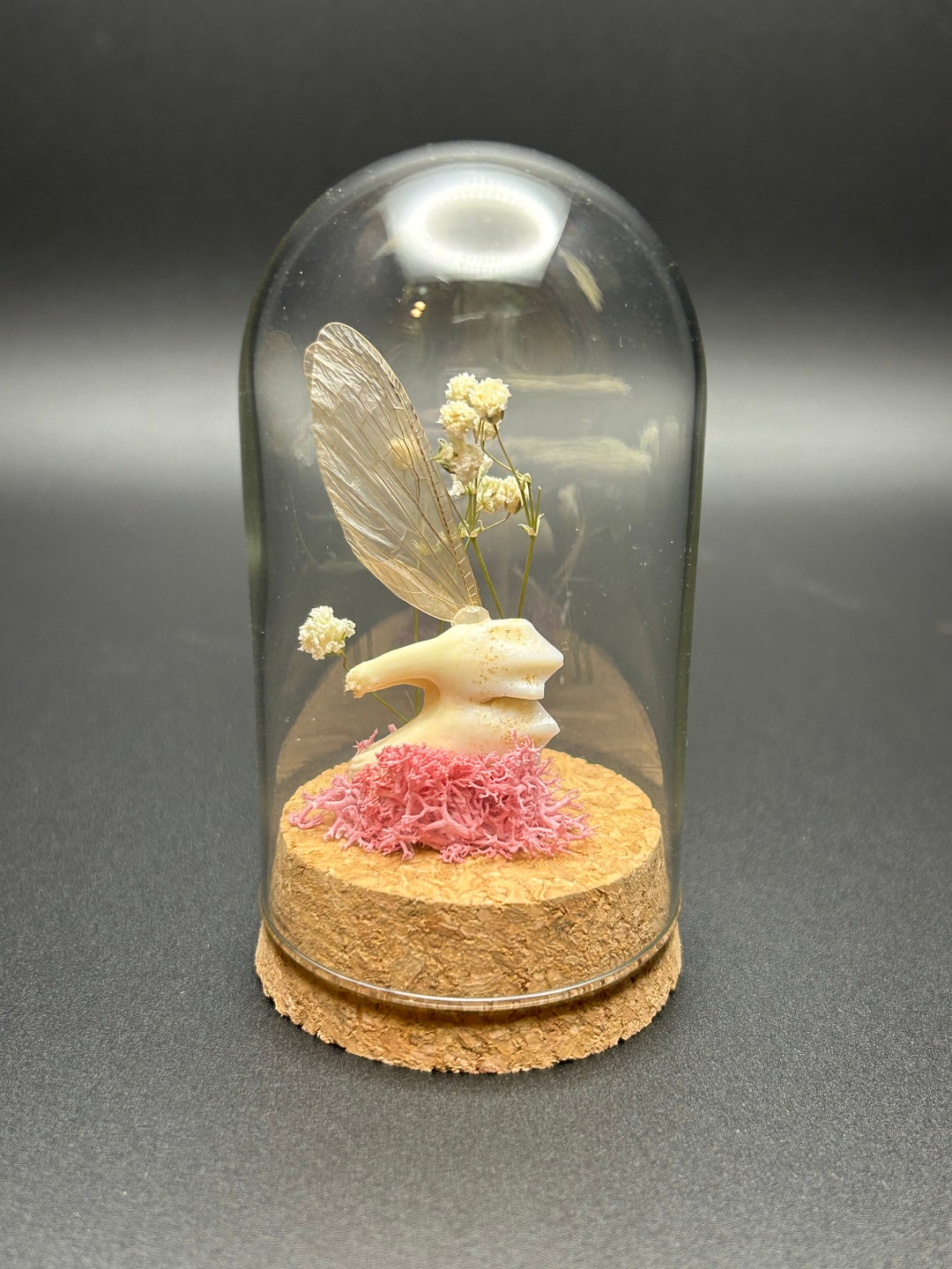 Tooth Fairy in Mini Glass Dome - Etsy