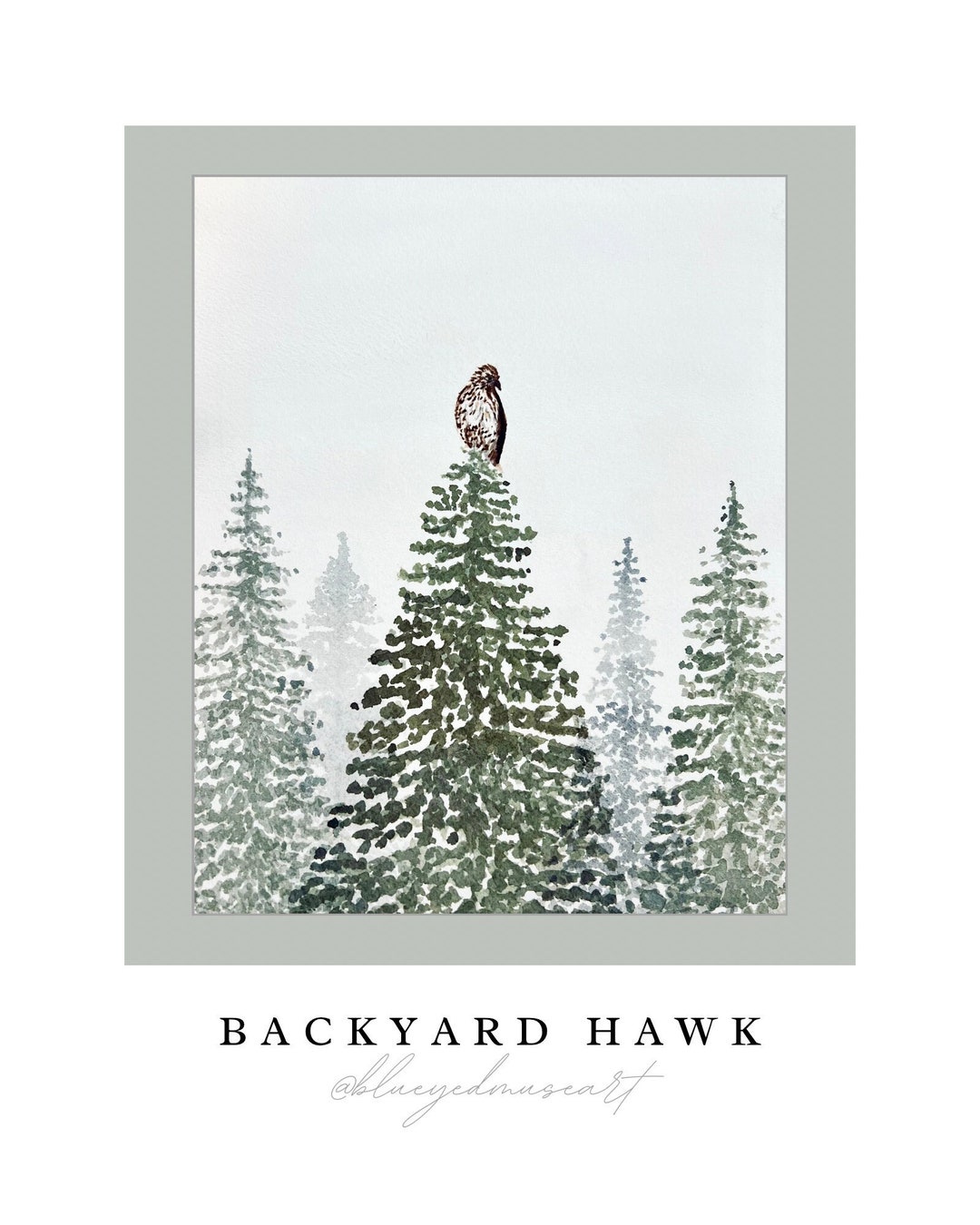 Backyard Hawk Perched on Evergreen Trees - Watercolor Art Print - Moody ...