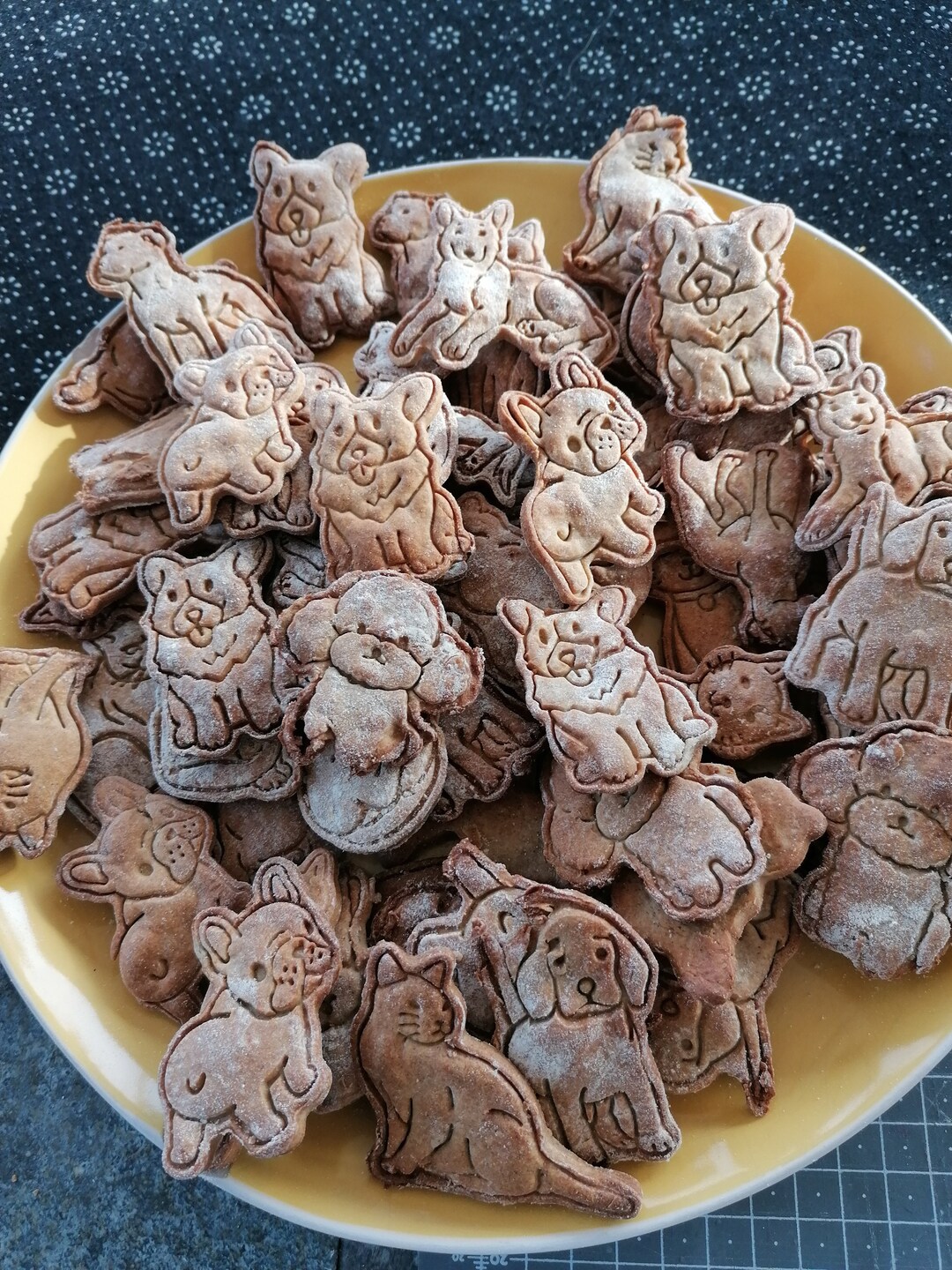 200G of Honey Biscuits Dog and Cat Food Barf - Etsy