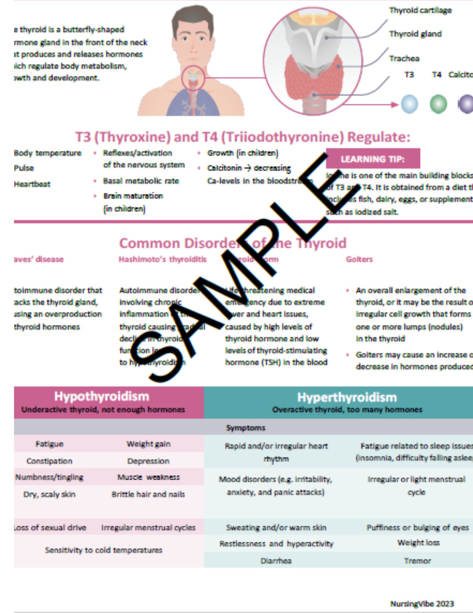Nursing System Cheat Sheets/clinical Systems Cheat Sheets/ Nursing Help/ Endocrine/thyroid ...