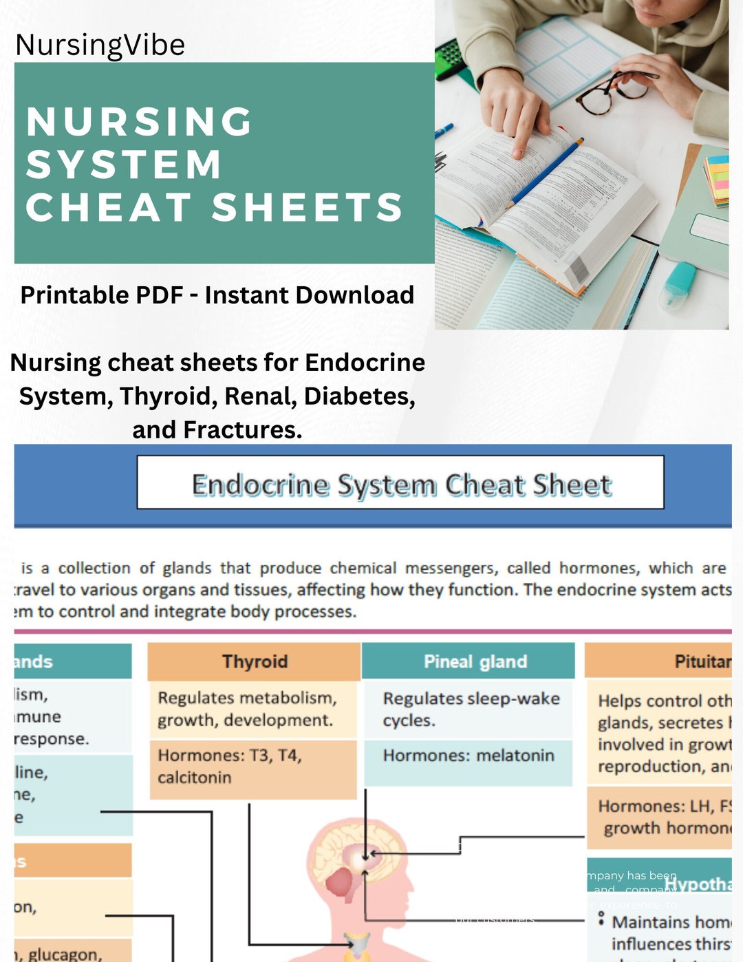Nursing System Cheat Sheets/clinical Systems Cheat Sheets/ Nursing Help ...