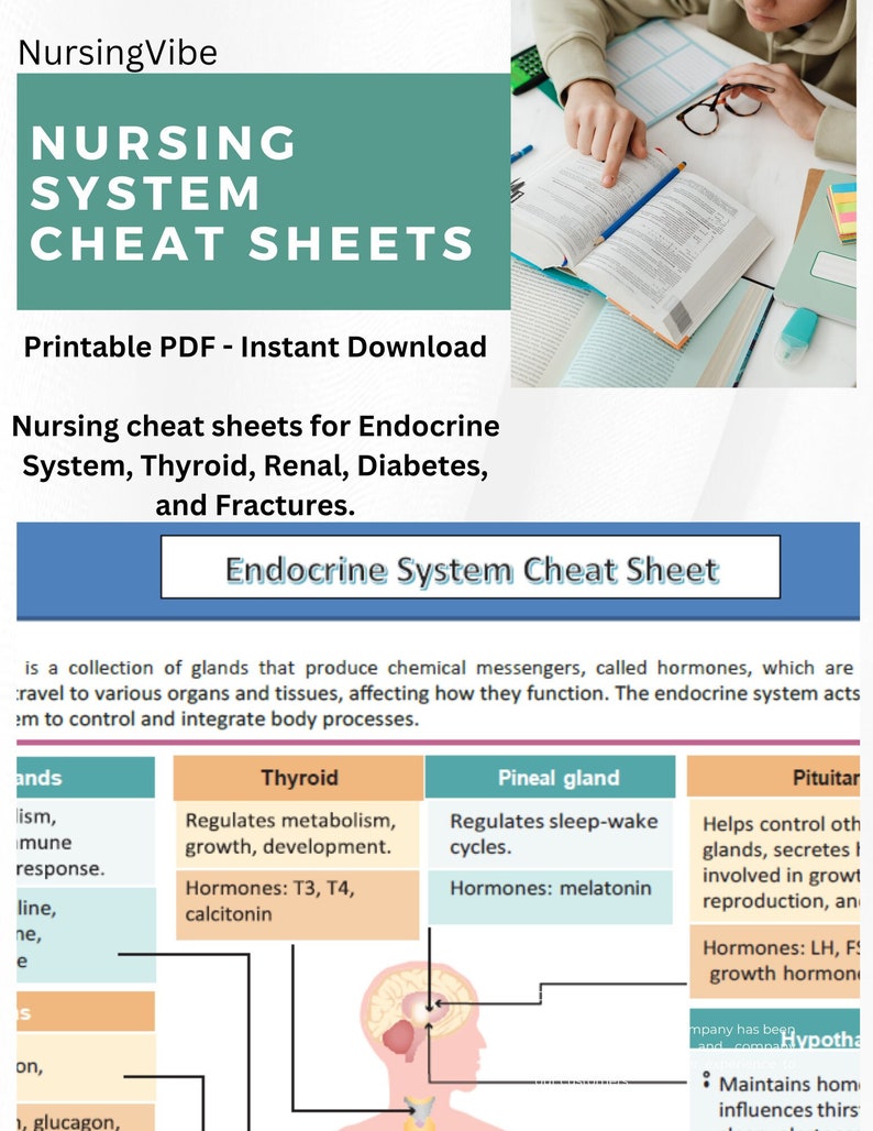 Nursing System Cheat Sheets/clinical Systems Cheat Sheets/ Nursing Help/ Endocrine/thyroid ...