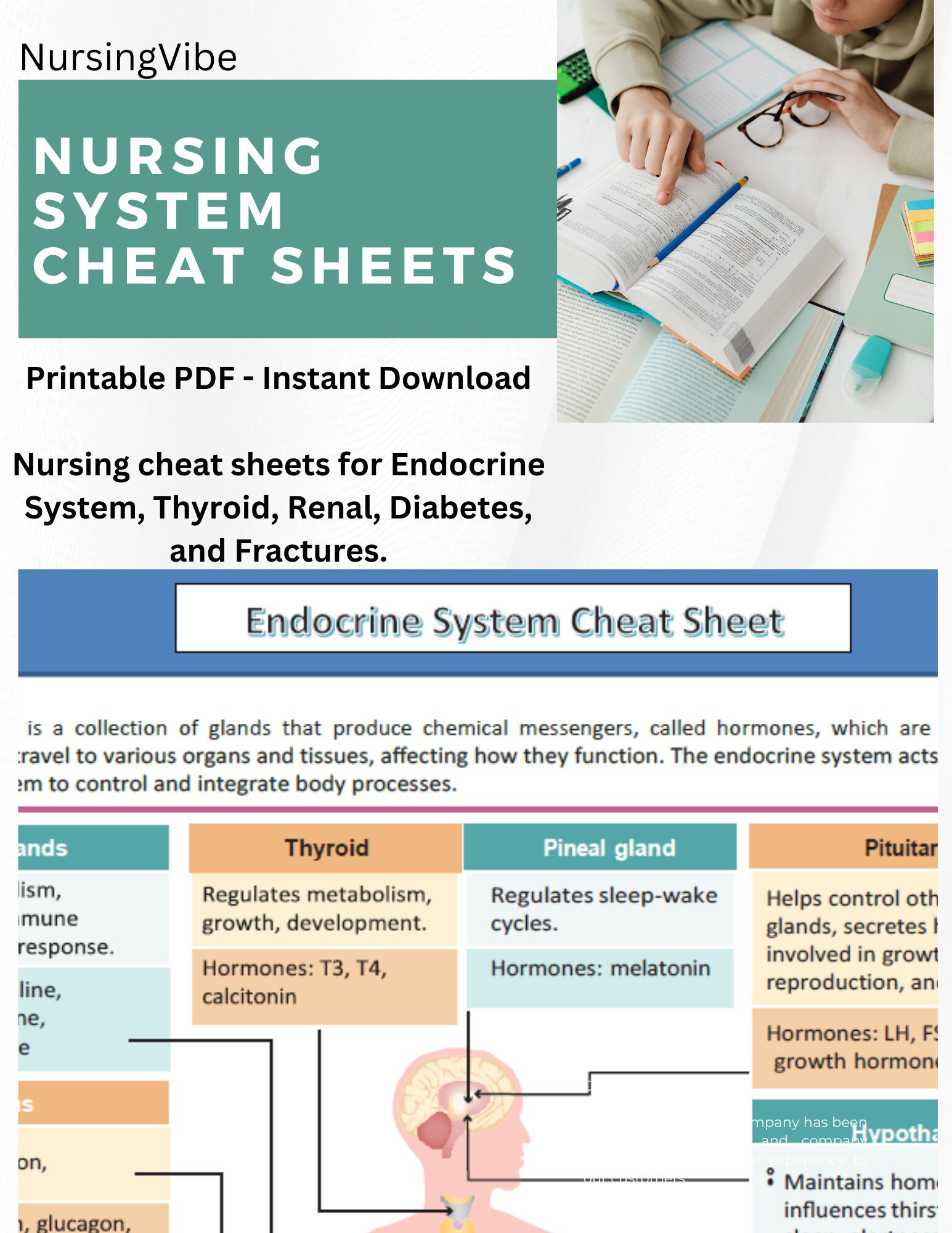 Nursing System Cheat Sheets/clinical Systems Cheat Sheets/ Nursing Help ...