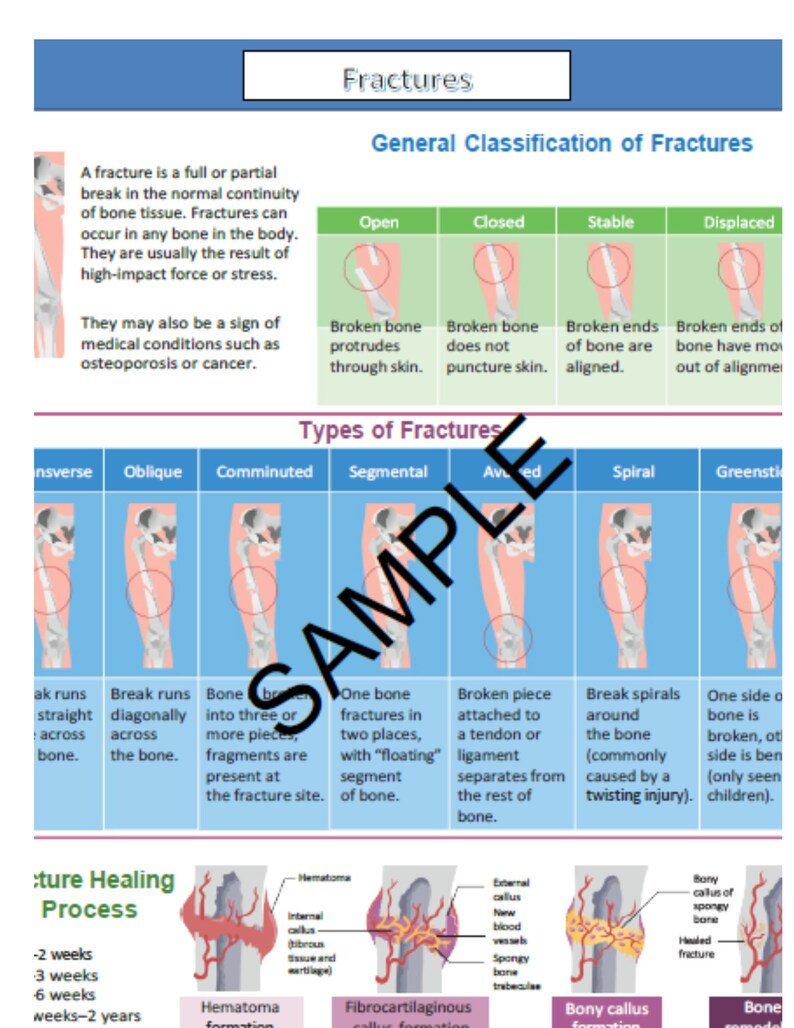 Nursing System Cheat Sheets/clinical Systems Cheat Sheets/ Nursing Help ...