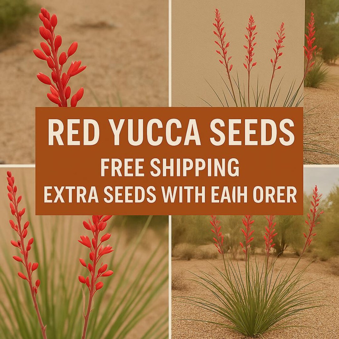 Red Yucca Seeds – Drought-tolerant Perennial | Extra Seeds | Hesperaloe ...