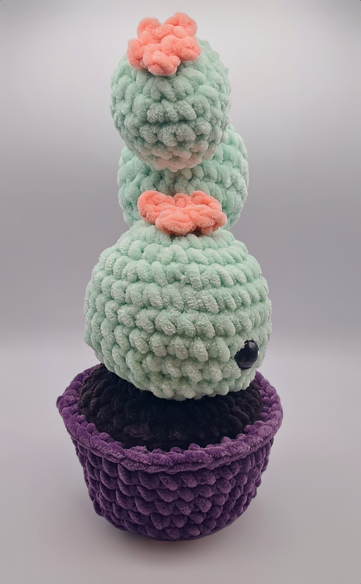 Cuddly Crochet Cactus Plushie, Amigurumi - Etsy