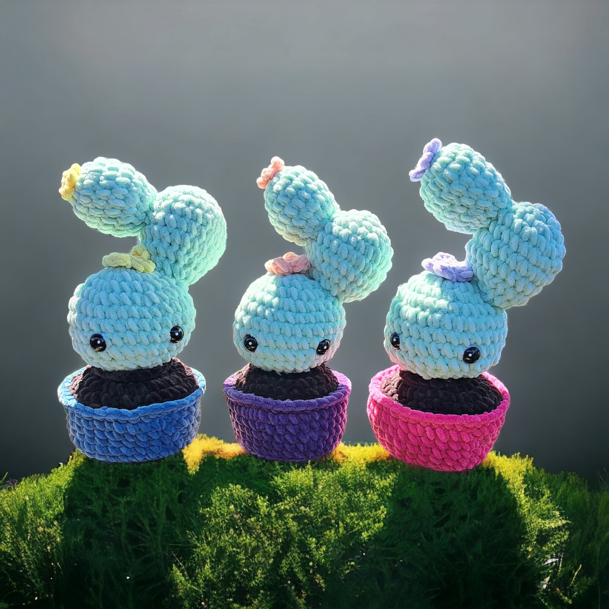 Cuddly Crochet Cactus Plushie, Amigurumi - Etsy