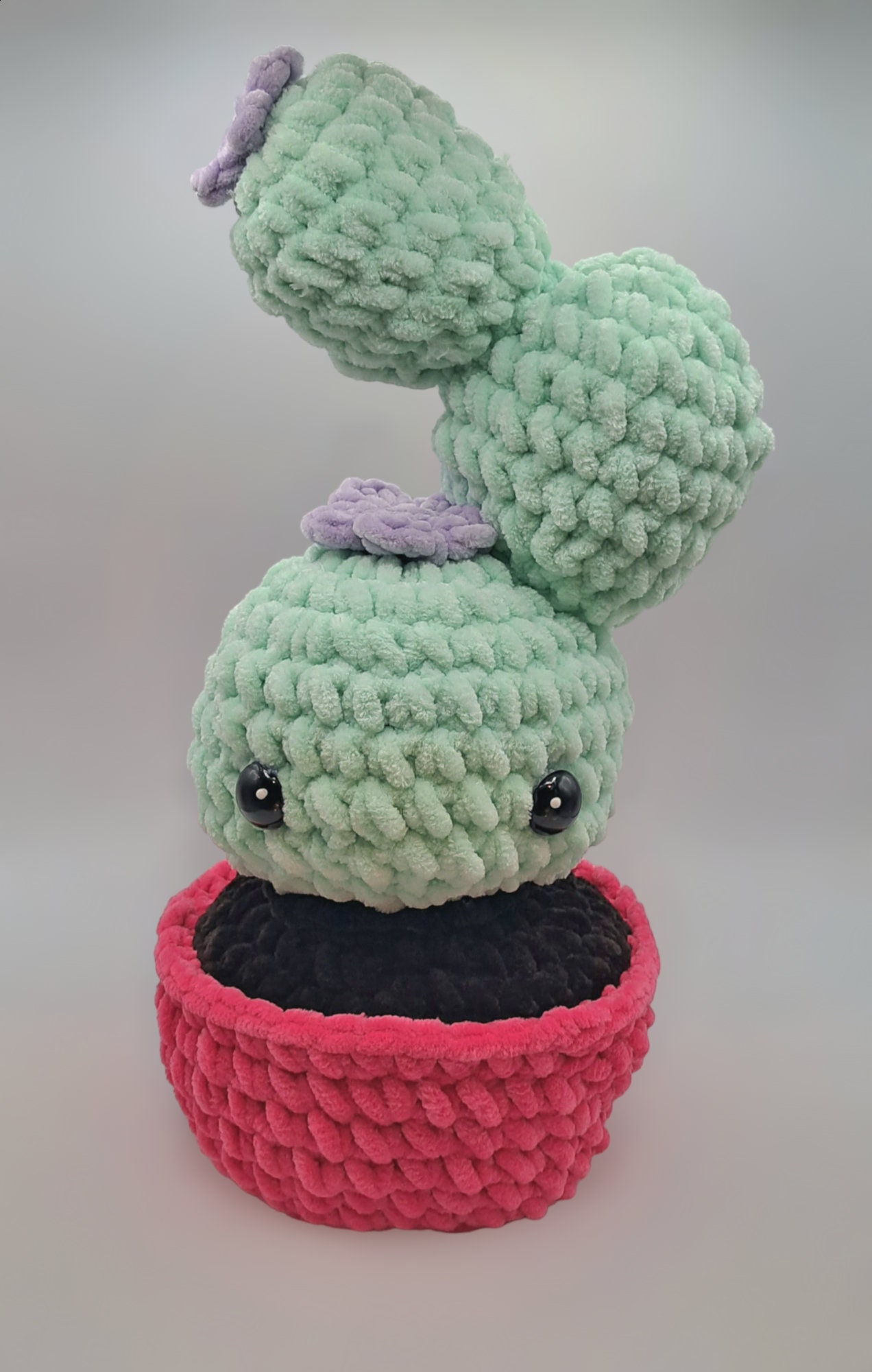 Cuddly Crochet Cactus Plushie Amigurumi - Etsy
