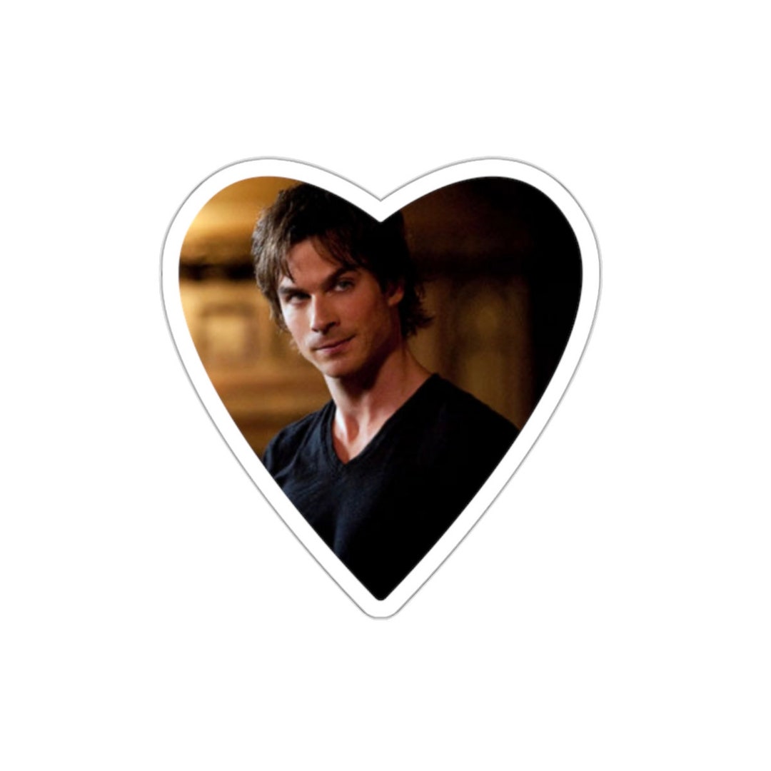 Vampire Diaries Damon Salvatore Die-cut Stickers - Etsy