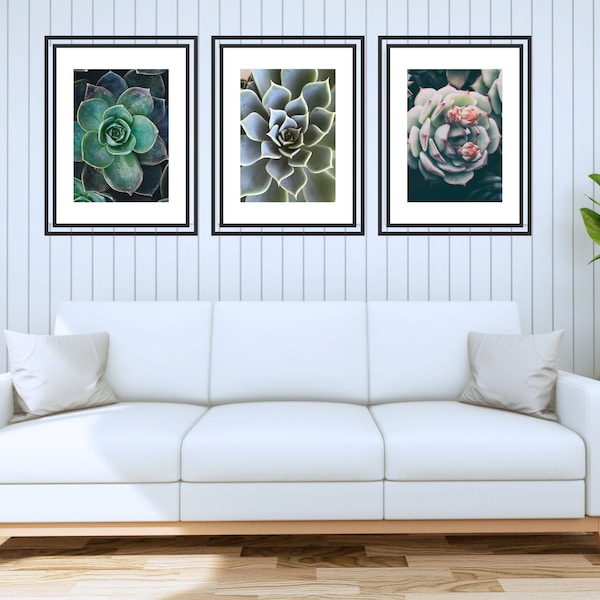 Succulent Wall - Etsy