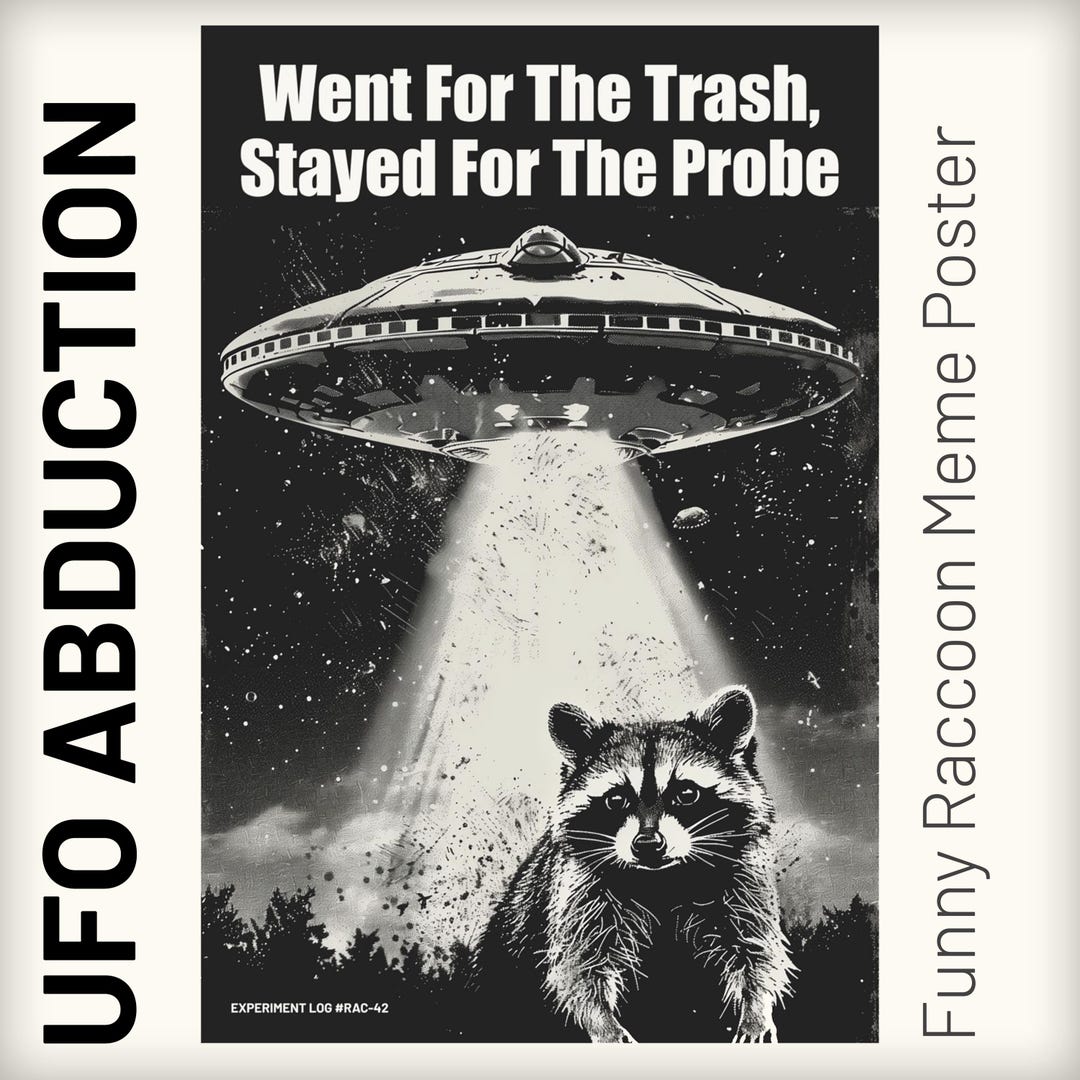 UFO Alien Abduction Poster, Funny Raccoon Meme Poster, Raccoon Gift ...
