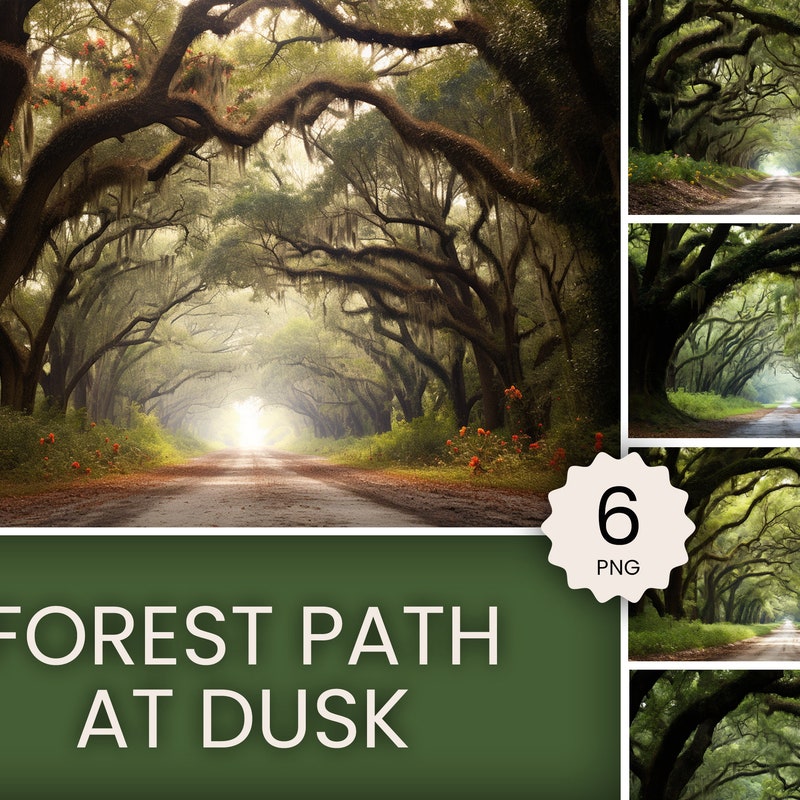 Forest Backdrop - Etsy