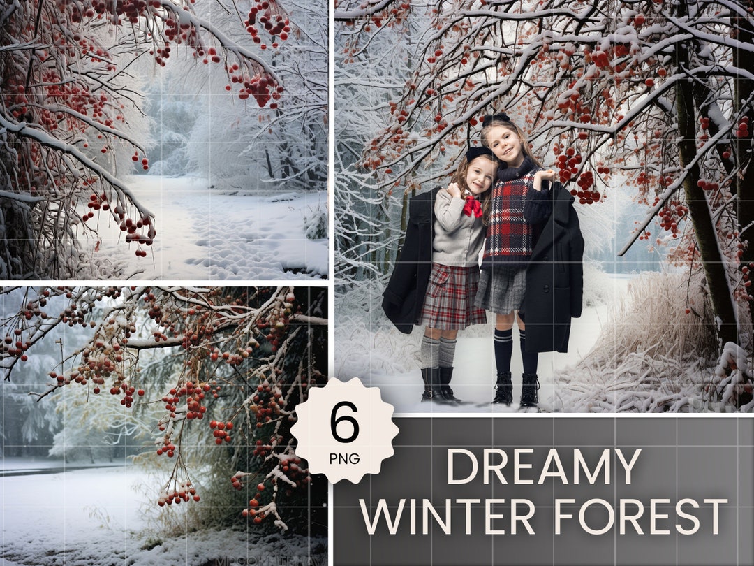 Snow Digital Backdrop for Photography Winter Snow Fantasy Forest ...