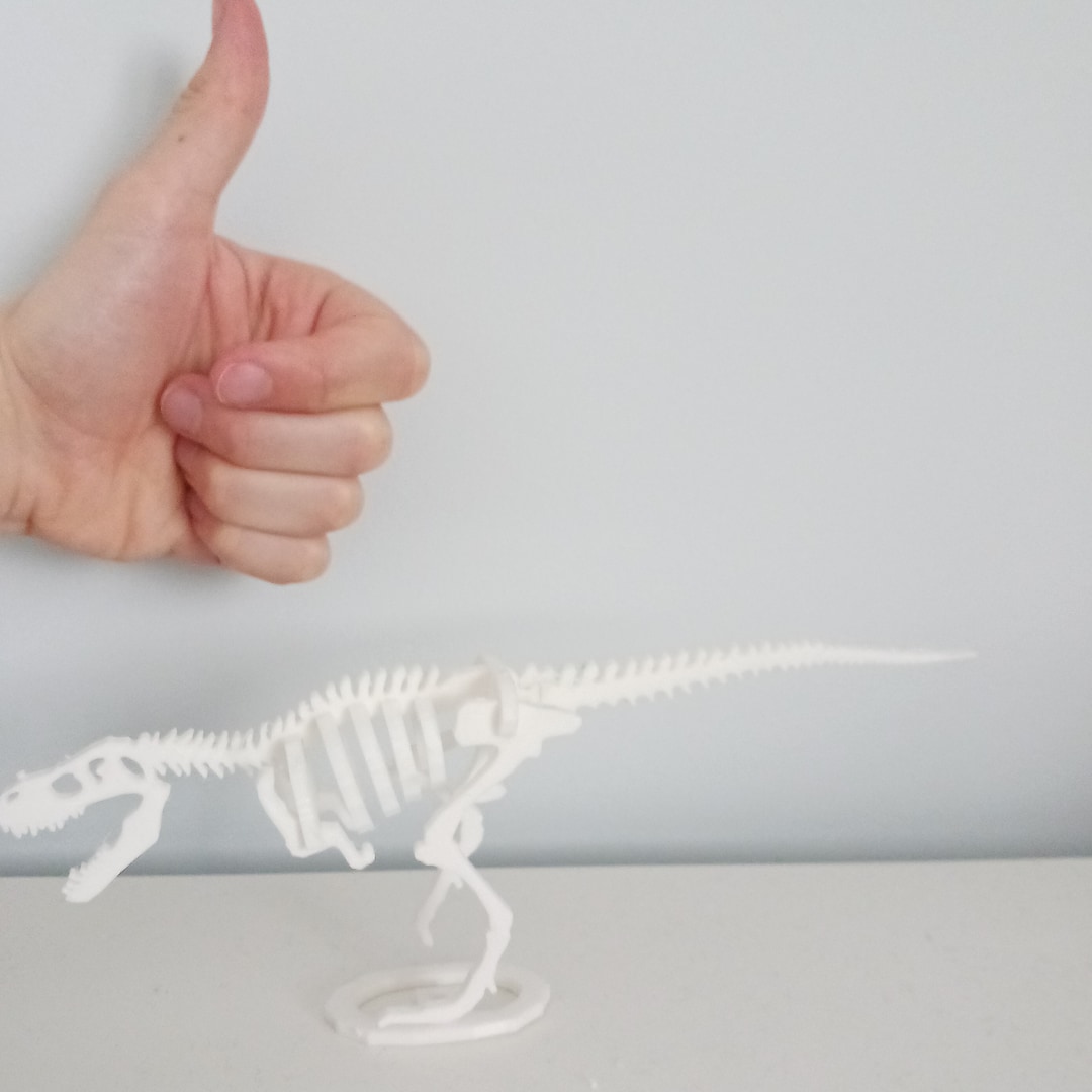 DIY T-rex Skeleton Kit for Youngsters or Adults Alike - Etsy UK