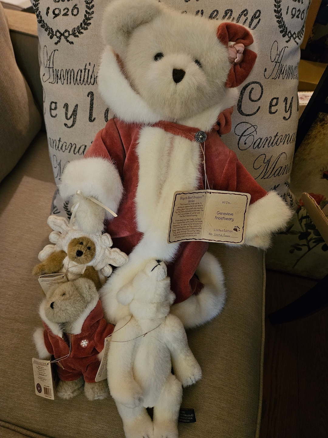 Boyds Best Dressed/genevieve Frostbeary, Bliz, Maddie Frostbeary ...