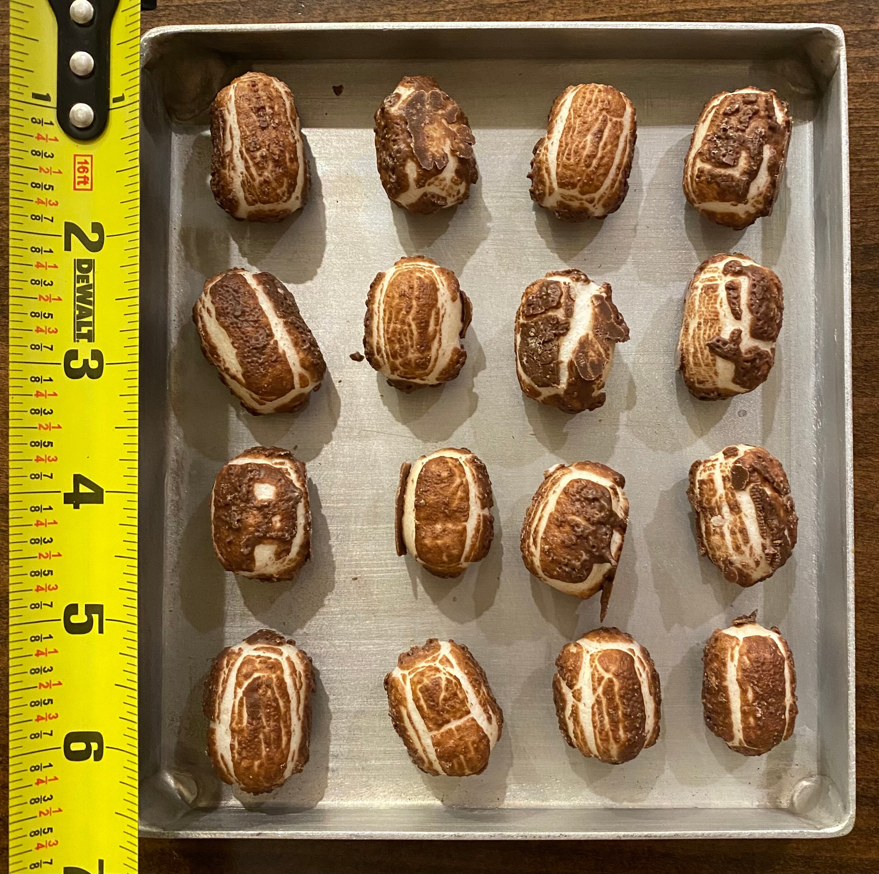 Ozark Black Bear Poop Freeze Dried Candy 20 Pcs - Etsy