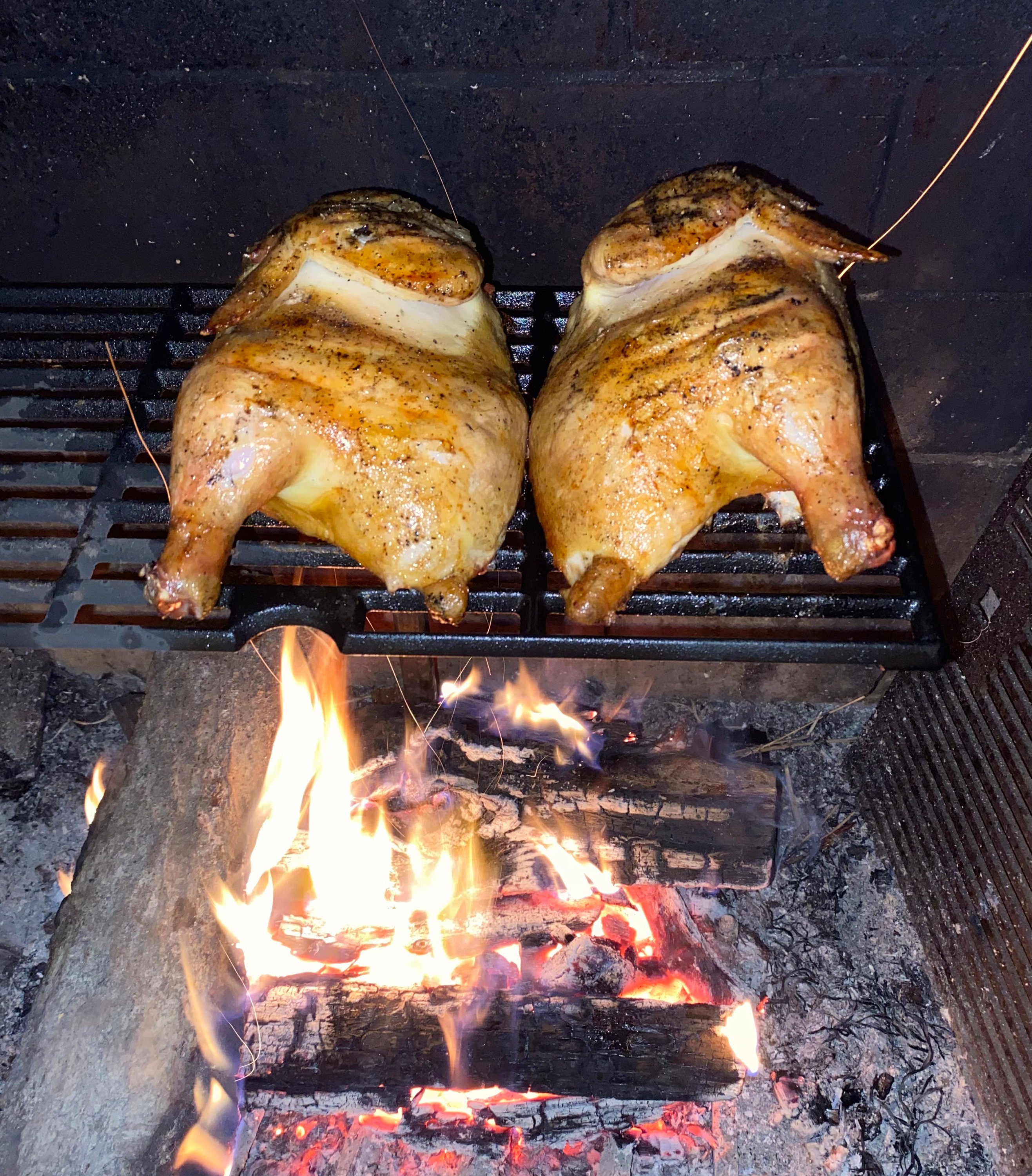 Indoor Grill 2.0 Version - Fireplace Cooking Grill - 'bug in Grill ...