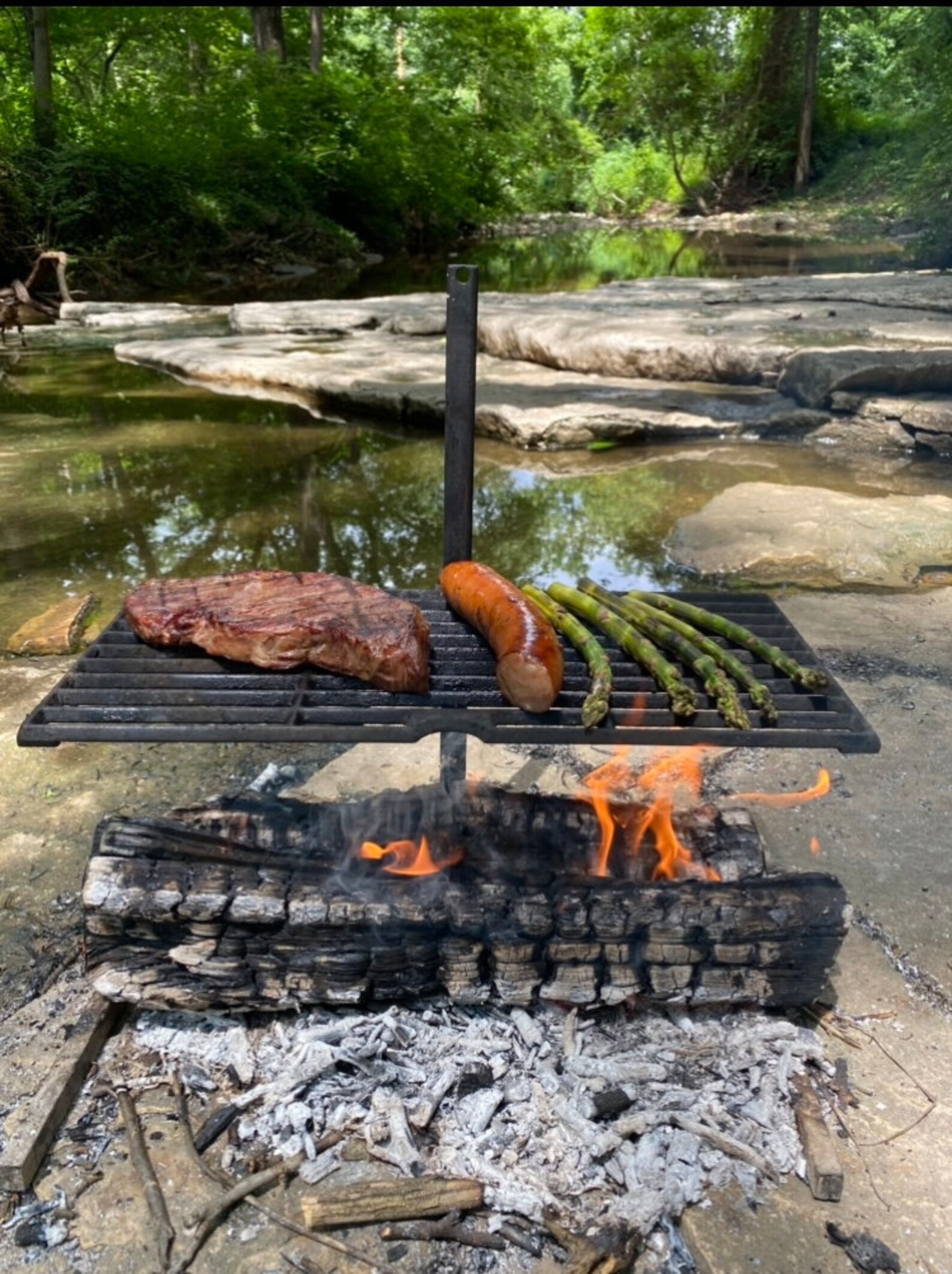 Indoor Grill 2.0 Version - Fireplace Cooking Grill - 'bug in Grill ...