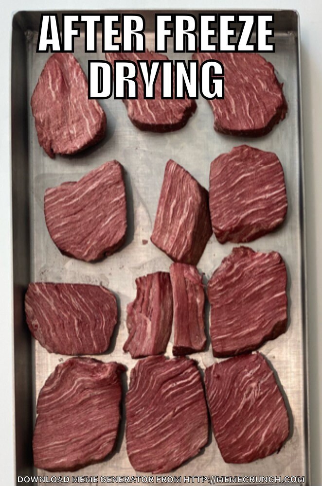 Freeze Dried Tenderloin Steak Medallions Filet Mignon Pasture Raised 1 ...