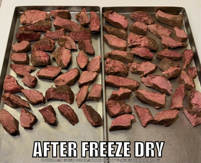 Freeze Dried Sirloin Steak Tips / Slices - Pasture Raised - 1 Pound ...