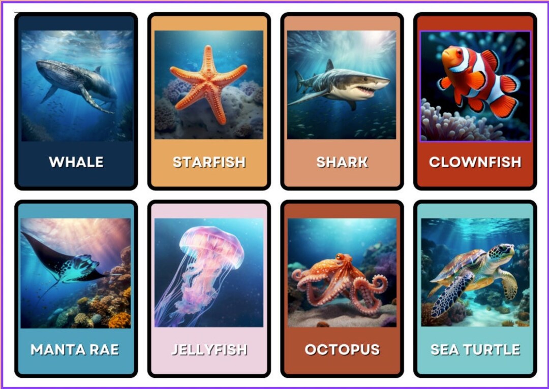 16 Sea Animals Flashcards - Teach With Fun Games! - Etsy