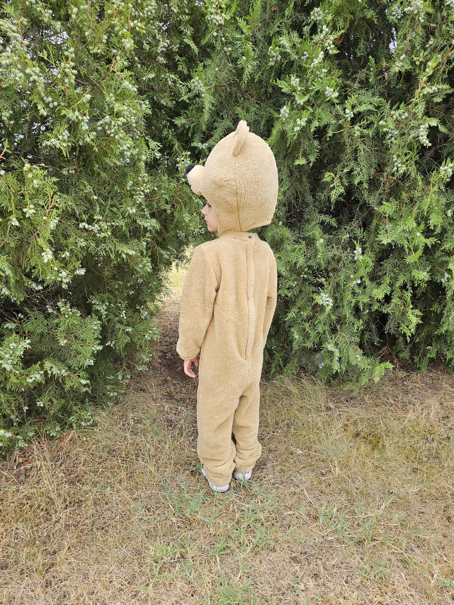 Bear Costume, Braun Bear Costume, Halloween Bear Costume, Kids Size ...