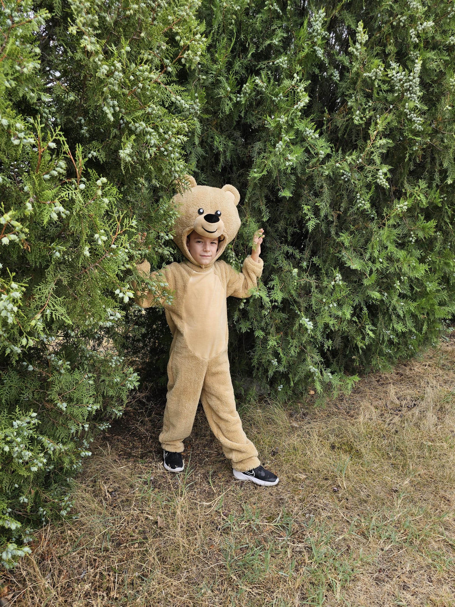 Bear Costume, Braun Bear Costume, Halloween Bear Costume, Kids Size ...