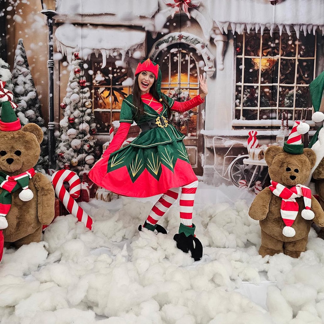 Deluxe Elf Costume, Christmas Elf Costume, Elf Outfit, Luxuriate Elf ...