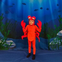 Crab Costume - Etsy