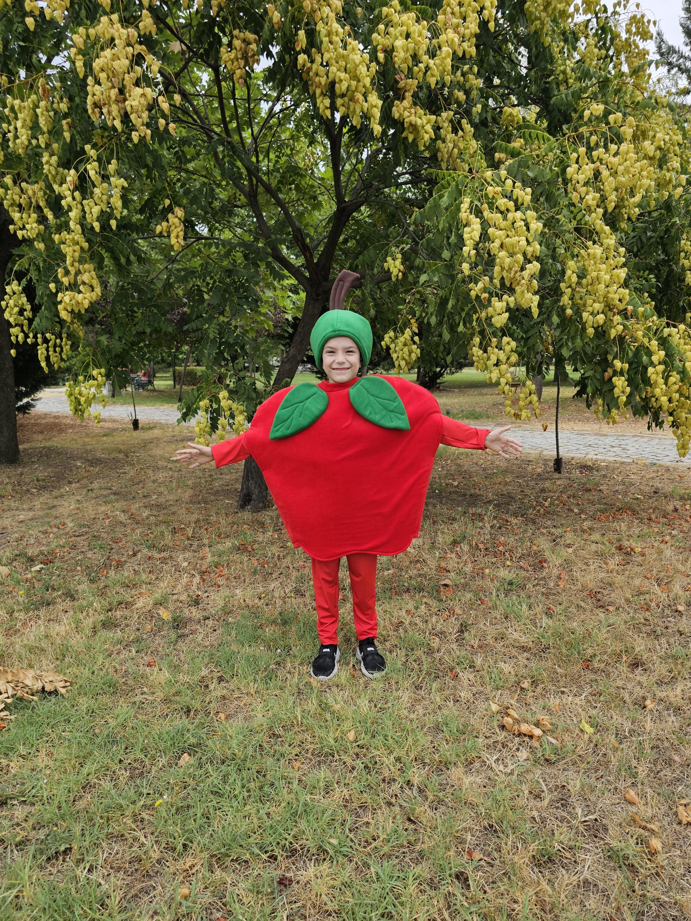 Red Apple Costume for Kids, Halloween Costume, Red Apple Outfit, Kids ...